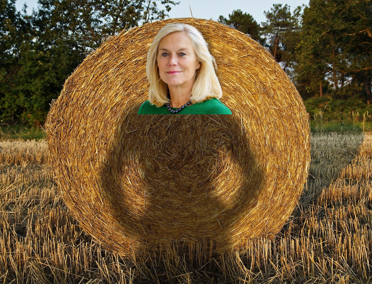 GeenStijl: Sigrid Kaag, of de krampachtige overcompensatie van de ...