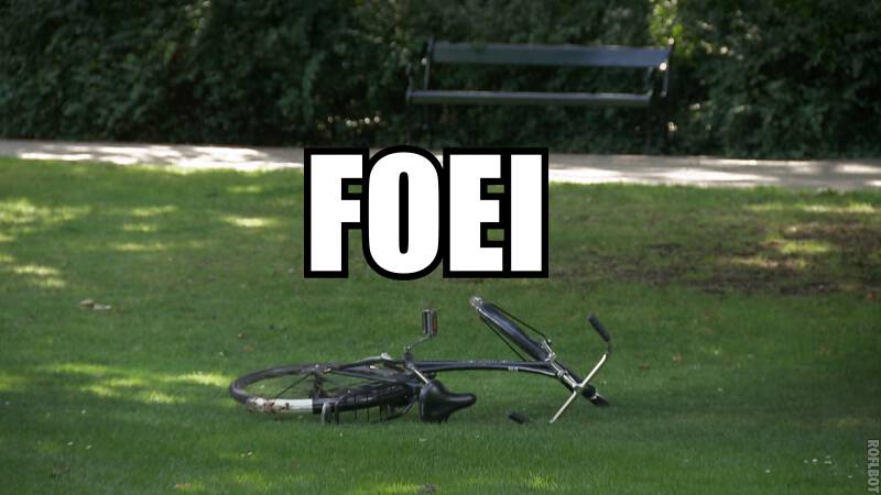 GeenStijl: Nederland 2019. FOEI-gesprek voor verkrachters