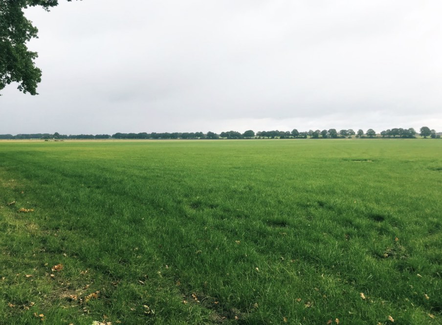 GeenStijl: ROFLOL. Minder beestjes in natuurgras