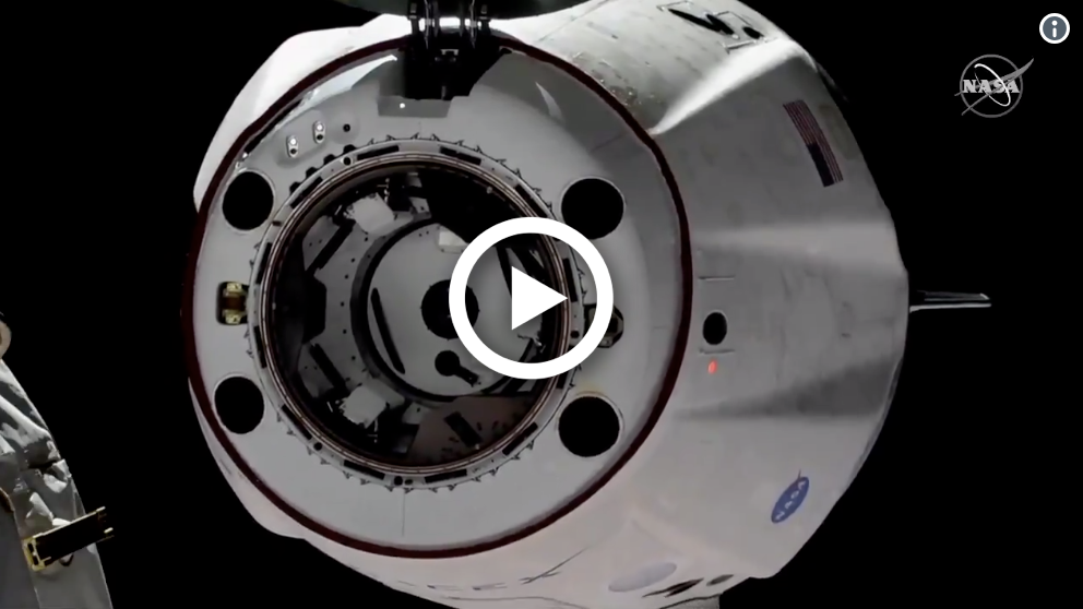 GeenStijl: Live rond 12:30. Elon Musk-pod COMING IN HOT!