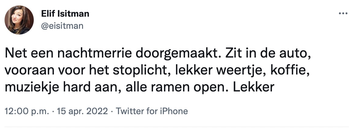 GeenStijl: Telegraaf-journaliste Elif Isitman aangevallen voor stoplicht
