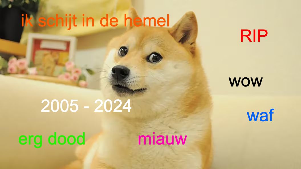 GeenStijl: Many sad. Doge gestopt met blaffen
