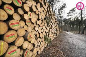 GeenStijl: Hoge gasprijs? Dan halen we wel graties hout!