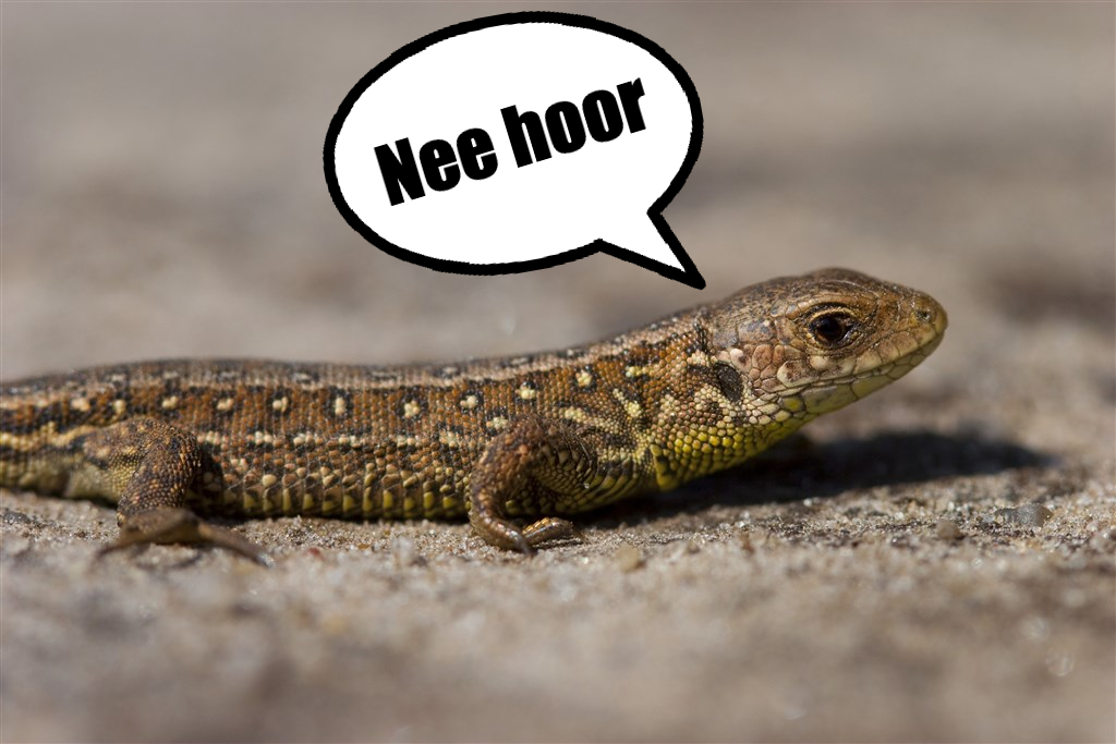 GeenStijl: Nutteloze zandhagedissen (en hazelwormen) maken het weer erg ...
