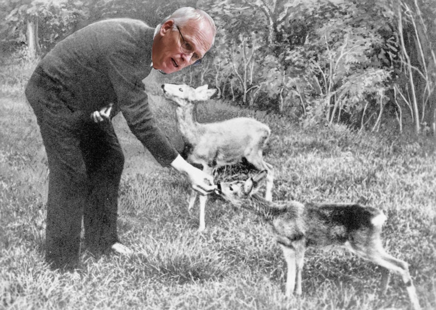 GeenStijl: Stamcafé: Piet Adema voorkomt bambigenocide GeenStijl: Stamcafé: Piet Adema voorkomt bambigenocide