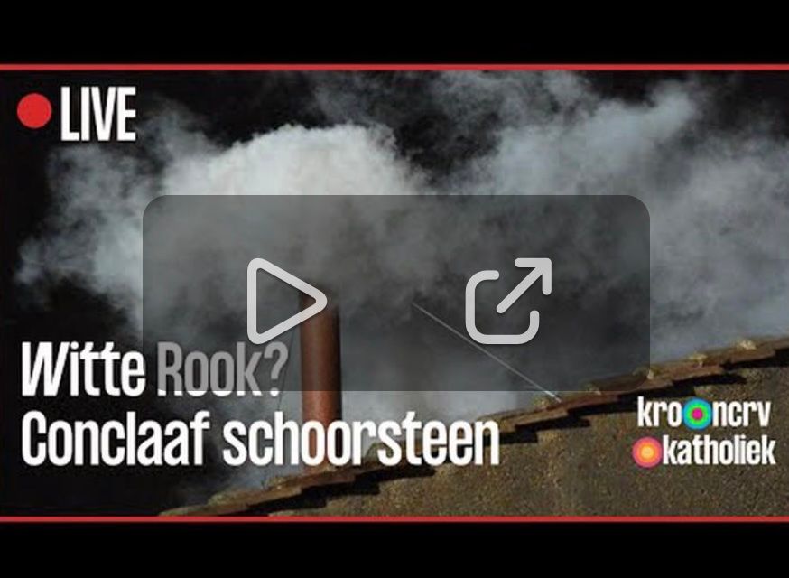 GeenStijl: LIVE ROME - DE WITTE ROOK WEBCAM