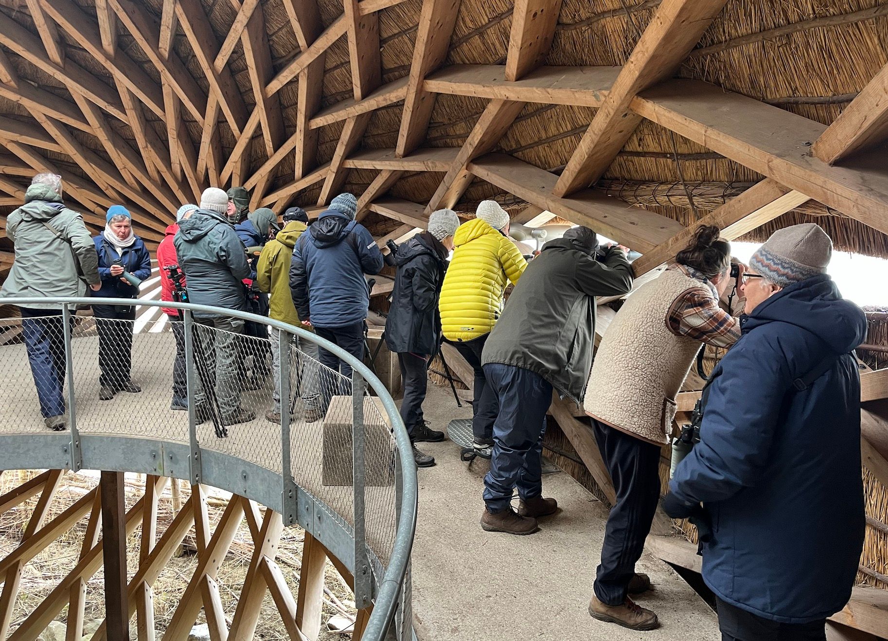 GeenStijl: Welke rare debiel verstoort er nou een nest van een zeearend?
